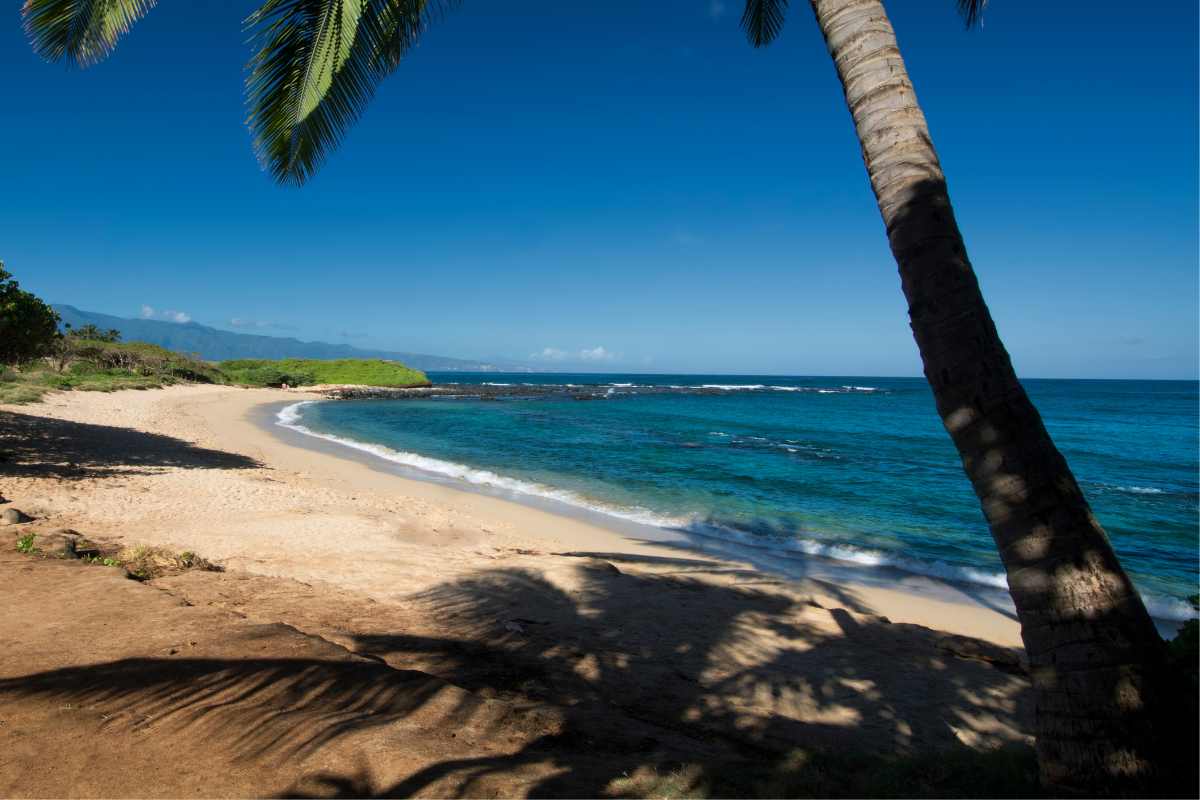Surfing in Maui: Your Ultimate Guide to Catching Waves